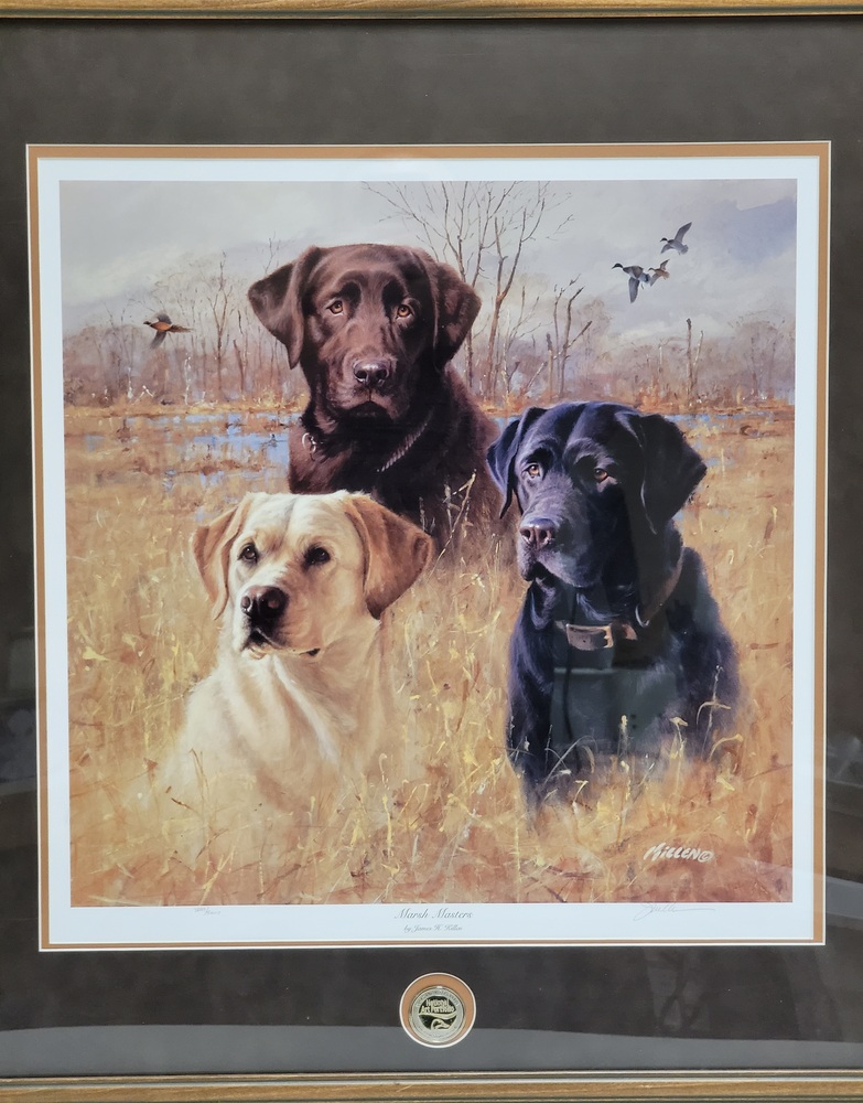 Authentic Ducks Unlimited MARSH MASTERS Framed and Numbered Print ...