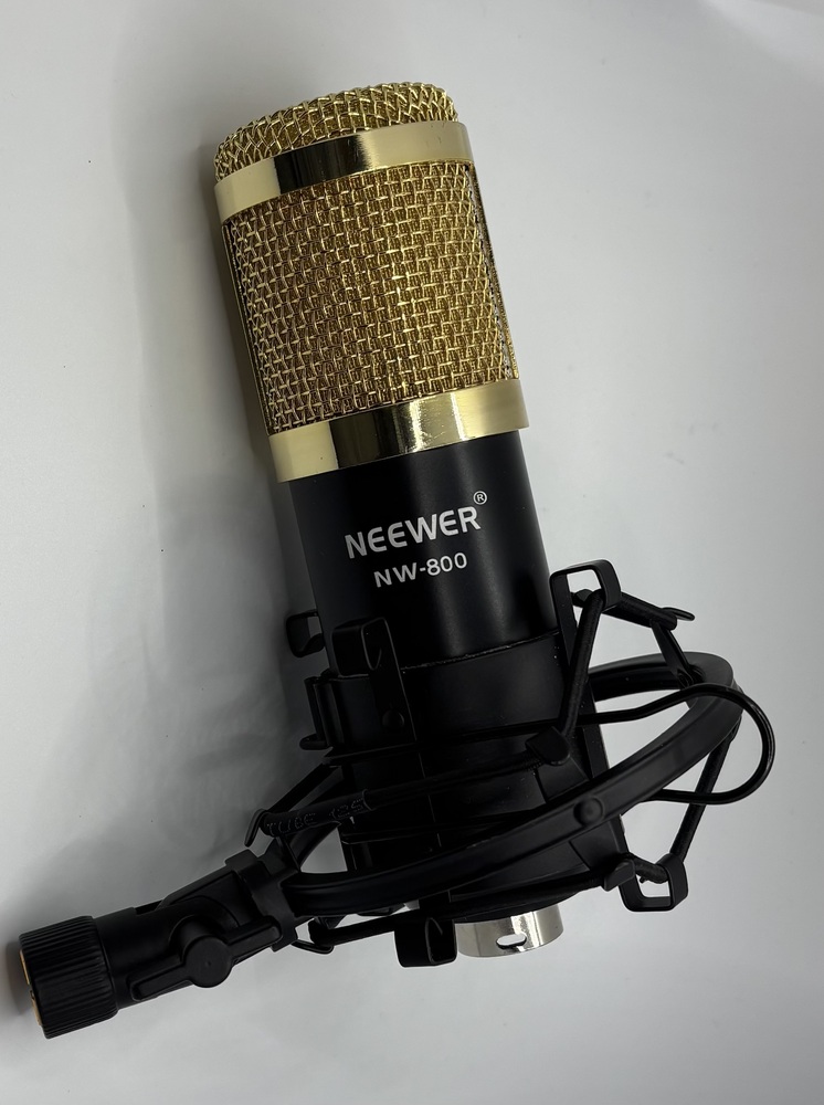 Neewer NW-800 Condenser Mic and Shock Mount *TESTED* | Avenue Shop Swap ...