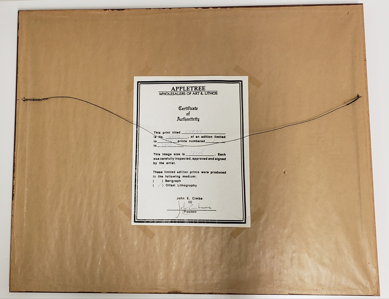 Loons Lissa Calvert Print | Avenue Shop Swap & Sell